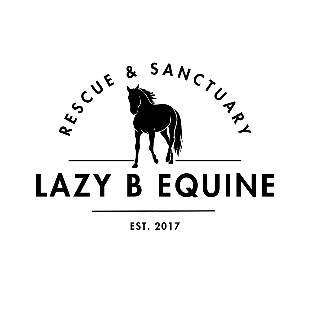 Home - Lazy B Equine Rescue and Sanctuary